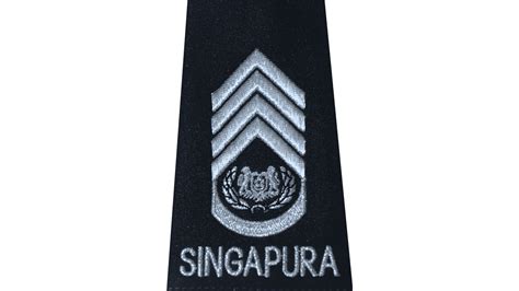 201207 Chief Warrant Officer Rank Republic Of Singapore Air Force