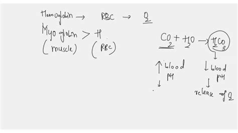 Solved What Is True About 23 Bisphosphoglycerate 2 3 Bpg Regulation Of Hemoglobin In The