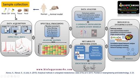 Definition Of Metabolomics How Metabolomics Works Major Applications Of Metabolomics