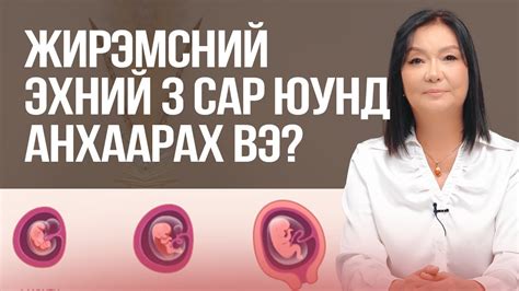 Ж Энхцэцэг эмч Жирэмсний ЭХНИЙ 3 сар юунд анхаарах вэ Youtube