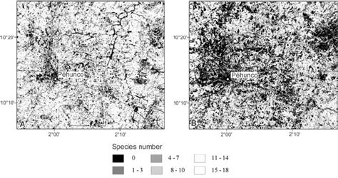 Distribution Of Tree Diversity A 1986 B 1999 Download Scientific Diagram