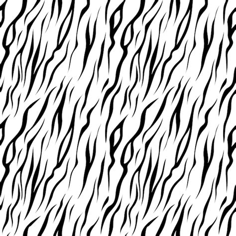 Zebra Fur Pattern Vectors And Illustrations For Free Download