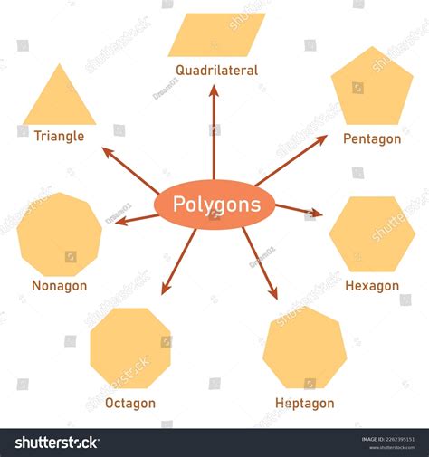 Types Regular Polygons Triangle Quadrilateral Pentagon Stock Vector