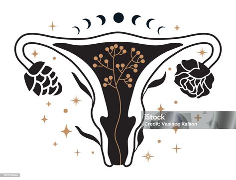 페미니즘 개념입니다 꽃과 자궁의 기관입니다 아름 다운 여성 생식입니다 별과 달의 위상으로 둘러싸여 있습니다 생식력에 대한 스톡 벡터 아트 및 기타 이미지 Istock