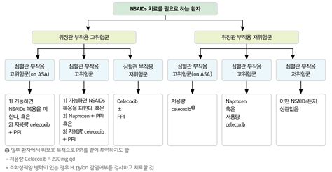 소화성 궤양peptic Ulcer Nsaids 연관 궤양 Metamedic