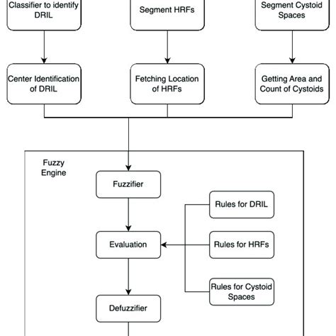 Flowchart Depicting The Workflow Of The Entire Model Download Scientific Diagram