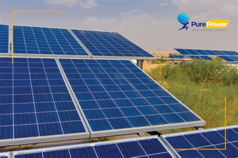 Wadi El Natroun Farm Pure Power