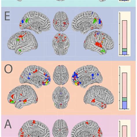 Pdf Personality Is Reflected In The Brains Intrinsic Functional Architecture