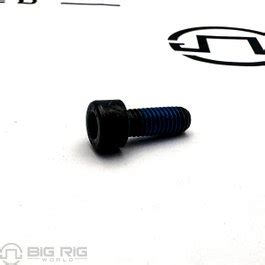 Screw Cap Cylnd Skt Sl Nyl M6 100x16 Hwc07641 Mandm Fastener Big
