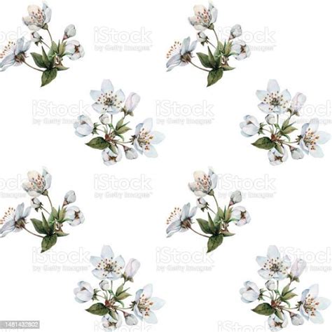 매끄러운 꽃 무늬 벚꽃 꽃다발이 있는 봄 패턴 꽃 봉오리 녹색 잎과 함께 피는 벚꽃 나뭇 가지 손으로 그린 수채화 그림은 직물 직물을 위한 흰색 배경에 그려져 있다 0명에