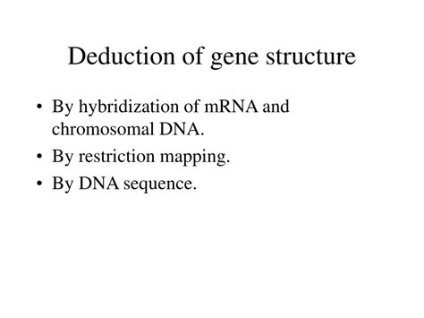 Ppt Organization Of Genes On Chromosomes Powerpoint Presentation