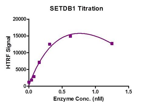 Recombinant Setdb1 Protein United Bio Research
