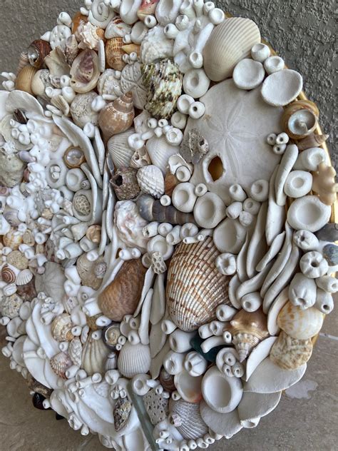 3d Shell Sculpture Sea Coral Decor Minimalist Modern Shell Wave Art