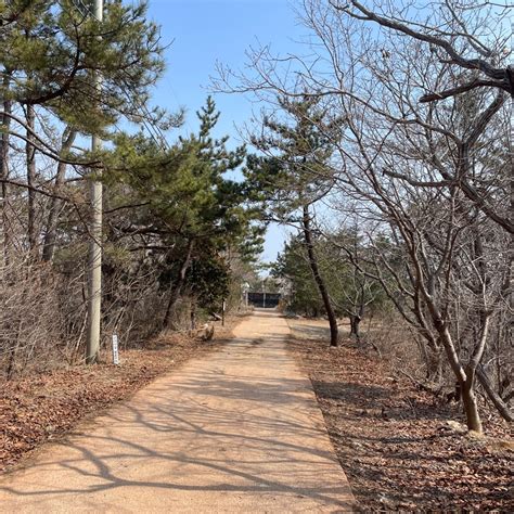 650칼로리 타파가능한 부산 해운대 장산 등산코스 왕복3시간주차안내 정불리의하루