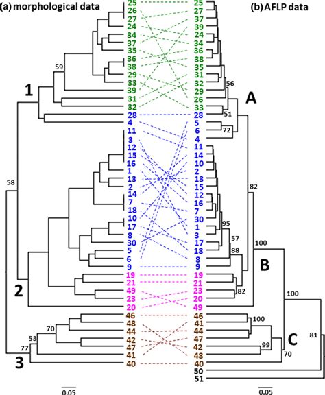 Comparison Of Upgma Clustering Jaccards Coefficient Based On Download Scientific Diagram