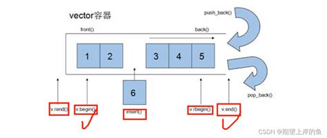 C ， Stl 常用容器c容器 Csdn博客