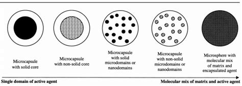 Different Structures Of Microcapsules And Microsphere 1 Download