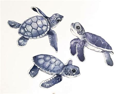 Colorful Sea Turtle Stickers