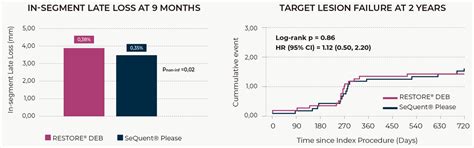 Restore® Plus Paclitaxel Releasing Ptca Balloon Catheter Cardionovum®