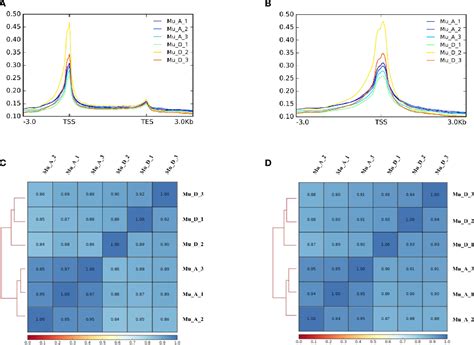 Figure 1 From Integration Of Atac Seq And Rna Seq Identifies Active G
