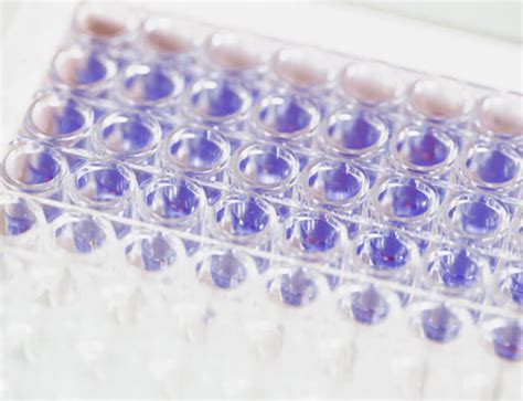 Ectd V4 0 Overview Electronic Common Technical Document Info