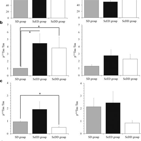 The Hippocampal Trisynaptic Circuit Based On Extensive Anatomical And