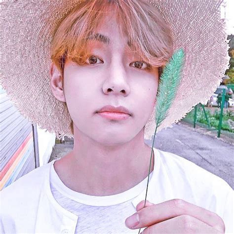 افتار بنترست حلالك بفولو