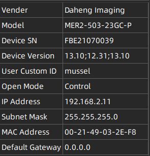 Finding Machine Vision Camera Conected To Raspberry Pi USB Port With Ethernet To USB Converter