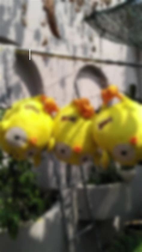 Livestream Khám Phá Pbm Đại Tiệc Sinh Nhật 16 Tuổi 💥 Livestream Khám Phá Pbm Đại Tiệc Sinh