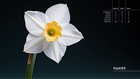 Шпалери на робочий стіл Березень травень Професійні видання