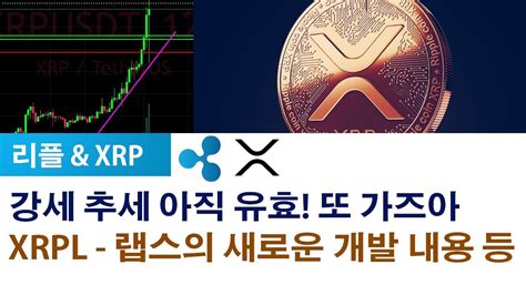 리플andxrp 강세 추세 아직 유효 또 가즈아xrpl 랩스의 새로운 개발 내용 등 Youtube