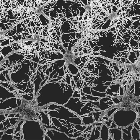Neural Network 3d Model 119 C4d Ma Fbx Obj Free3d Neural Network 3d Model 119 C4d Ma Fbx Obj Free3d
