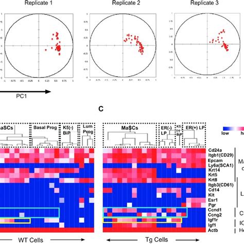 Single Cell Rna Seq Reveals The Heterogeneity Within The Masc Enriched Download Scientific