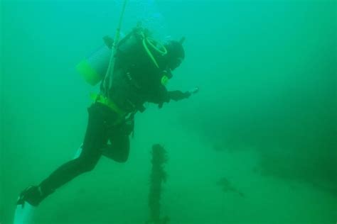 Marine Mapping To Create 3d Model Of Cheviot Shipwreck At Wilsons