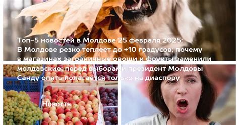 Топ 5 новостей в Молдове 25 февраля 2025 В Молдове резко теплеет до