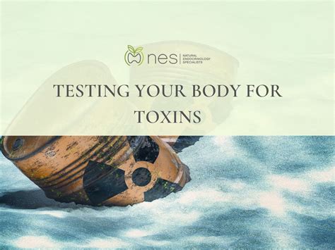 Testing Your Body For Toxins Natural Endocrinology Specialists