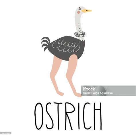 귀여운 스칸디나비아 스타일의 타조가 있는 교육 영어 단어 카드 교육 자료 디자인을 위한 벡터 그림 공부에 대한 스톡 벡터 아트