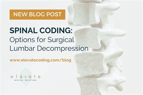 Brittany Kuhlman Coc Cpc Ccc Cosc On Linkedin Check Out This Blog Post I Wrote On One Of My