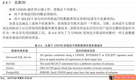 《sql 注入攻击与防御》 Tr0ys Blog