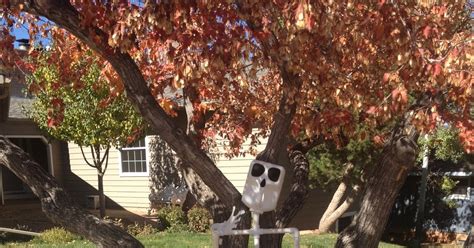 Mountains Mode DIY Halloween Skeleton