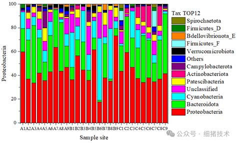 微生物群落结构可视化分析 Origin程序绘制微生物群落组成百分比堆积柱状图 知乎
