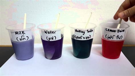 Red Cabbage Juice Ph