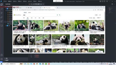 《react全家桶实战全集》 掌握jsx绑定属性 基本属性绑定 Youtube