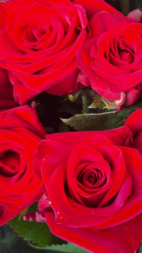 Wenjuan Chen On Linkedin Valentinesday Spreadlove Gratitude