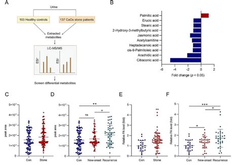 Dysregulated Palmitic Acid Metabolism Promotes The Formation Of Renal