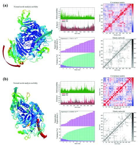 normal mode analysis nma of the mobility arrows indicate the