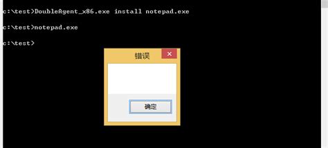 渗透测试中的application Verifierdoubleagent利用介绍