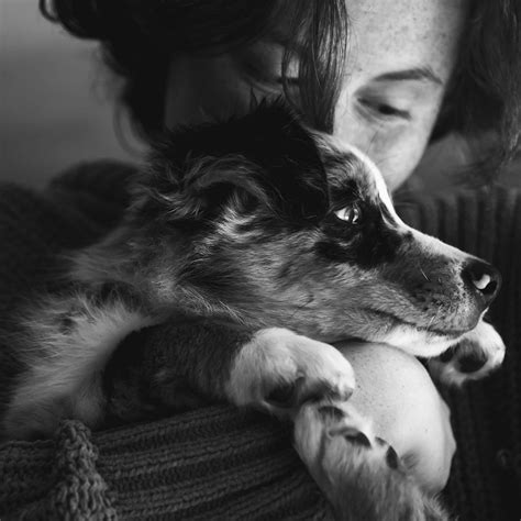 Test Codes For Faecal Dx Antigen Testing Idexx Denmark