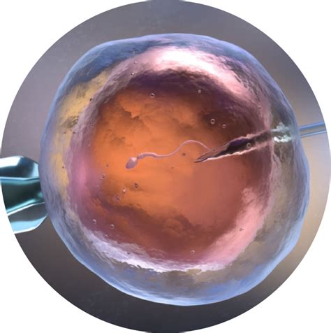 Female Fertility Specialist Sydney Dr Shadi Khashaba