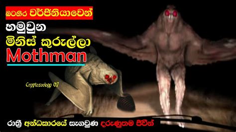 රාත්‍රියේ සැරිසරන බිහිසුණු මිනිස් කුරුල්ලා Mothman Sinhala Youtube